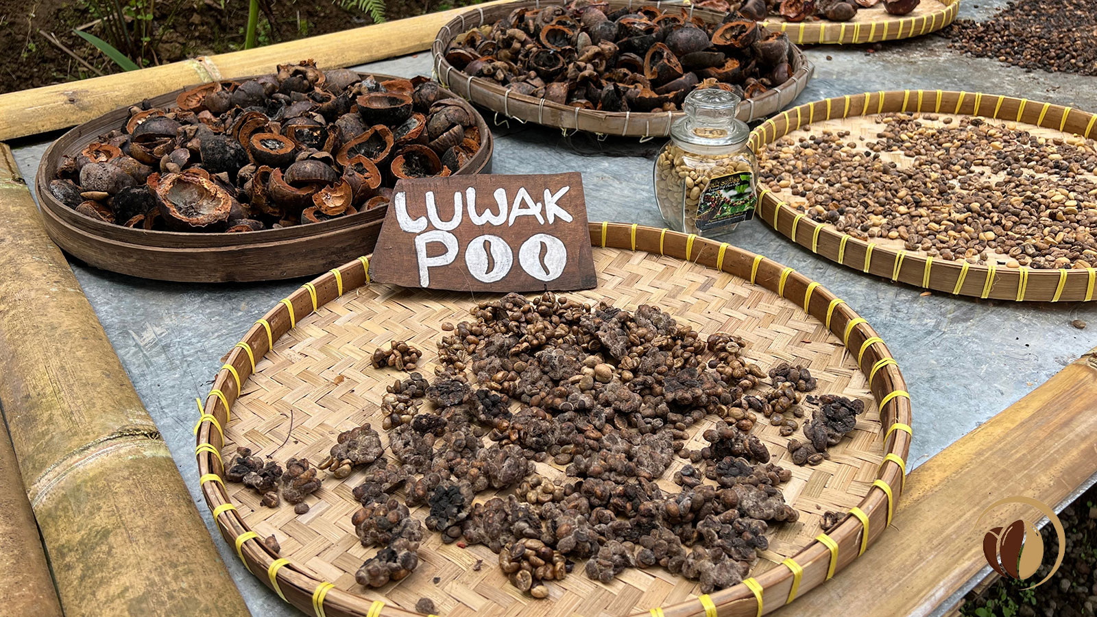 กาแฟขี้ชะมด